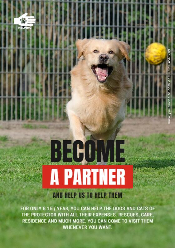 Free banners design for NGOs