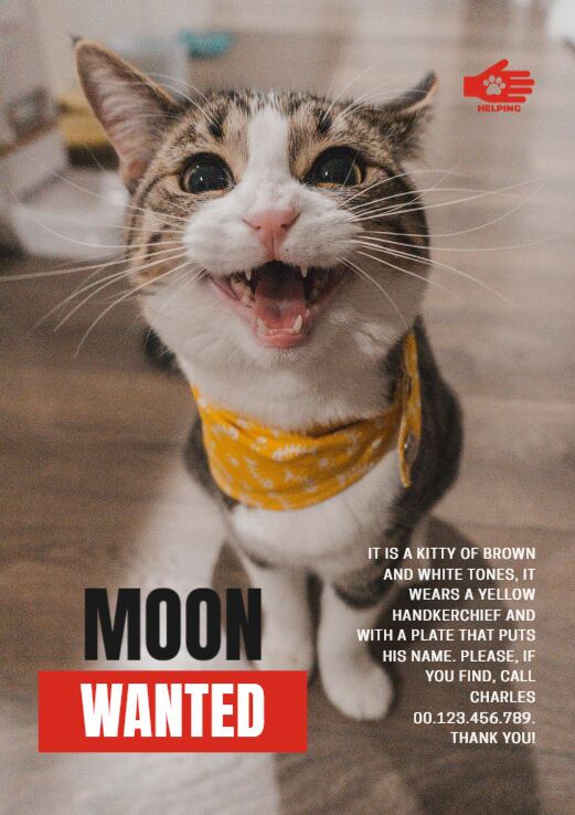 Free banners design for NGOs