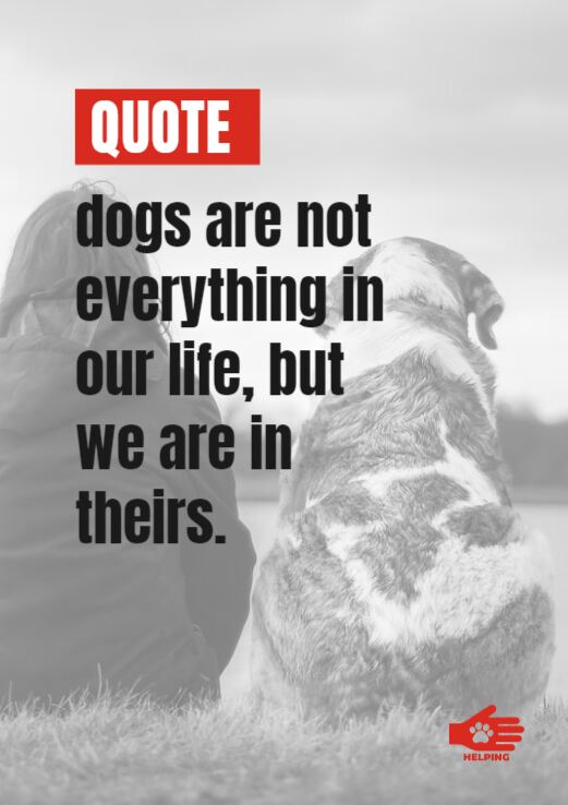 Free banners design for NGOs