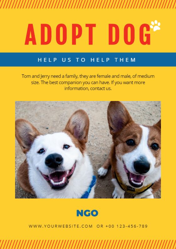 Free banners design for NGOs