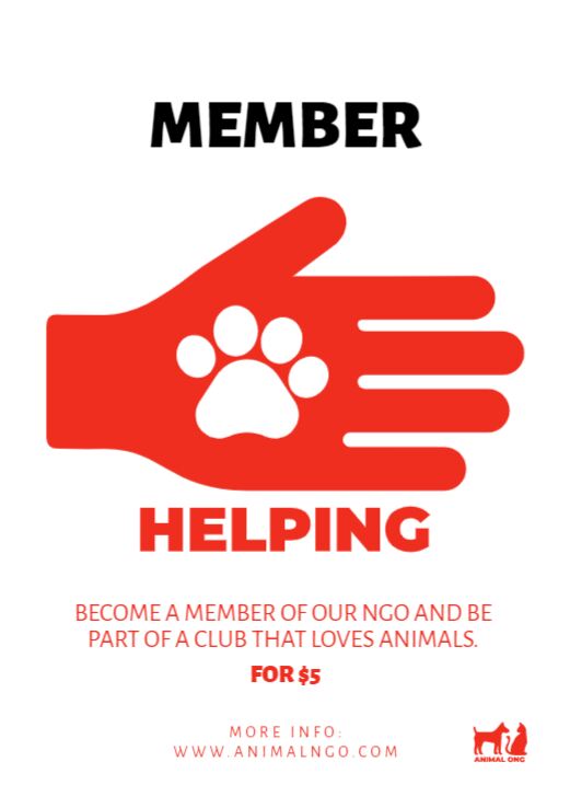 Free banners design for NGOs