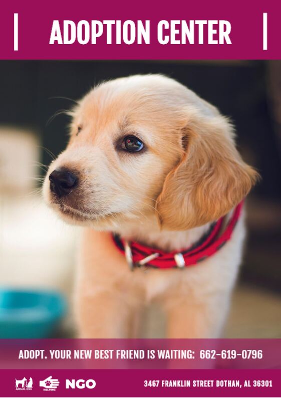 Free banners design for NGOs