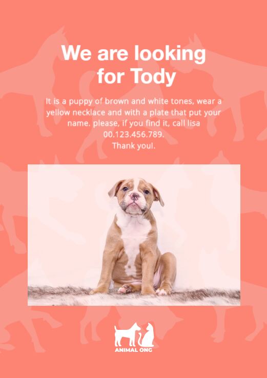 Free banners design for NGOs