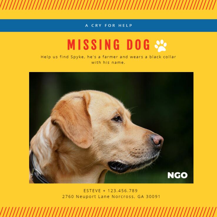 Free banners design for NGOs