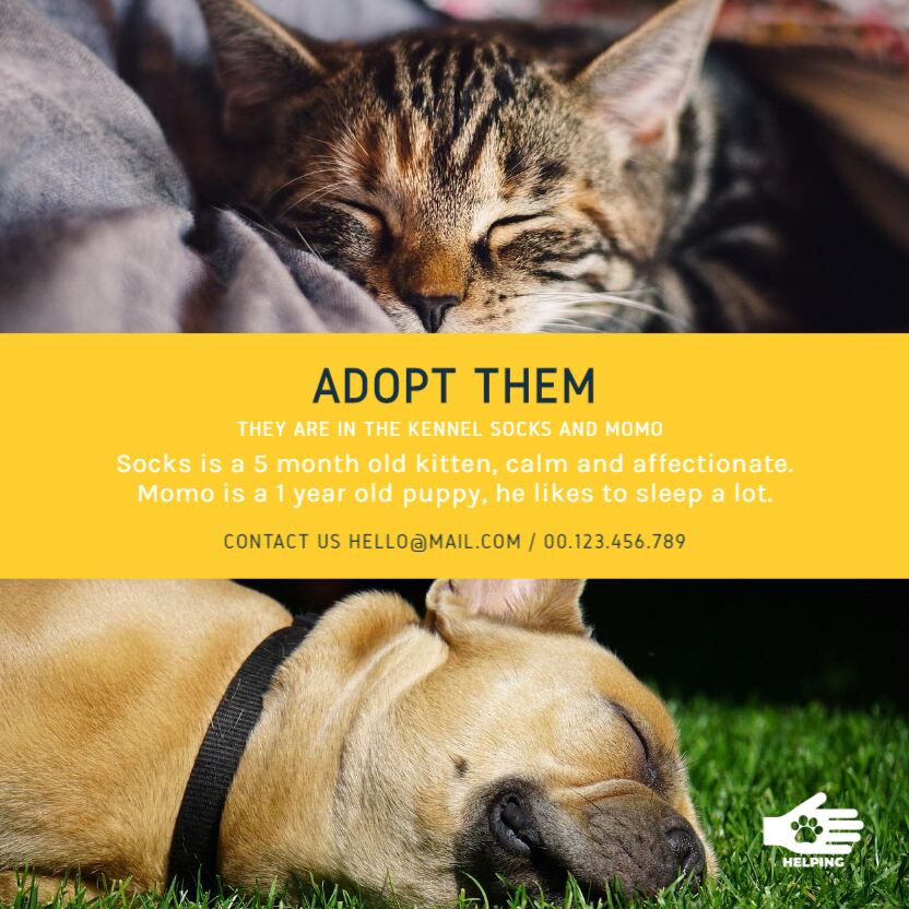 Free banners design for NGOs