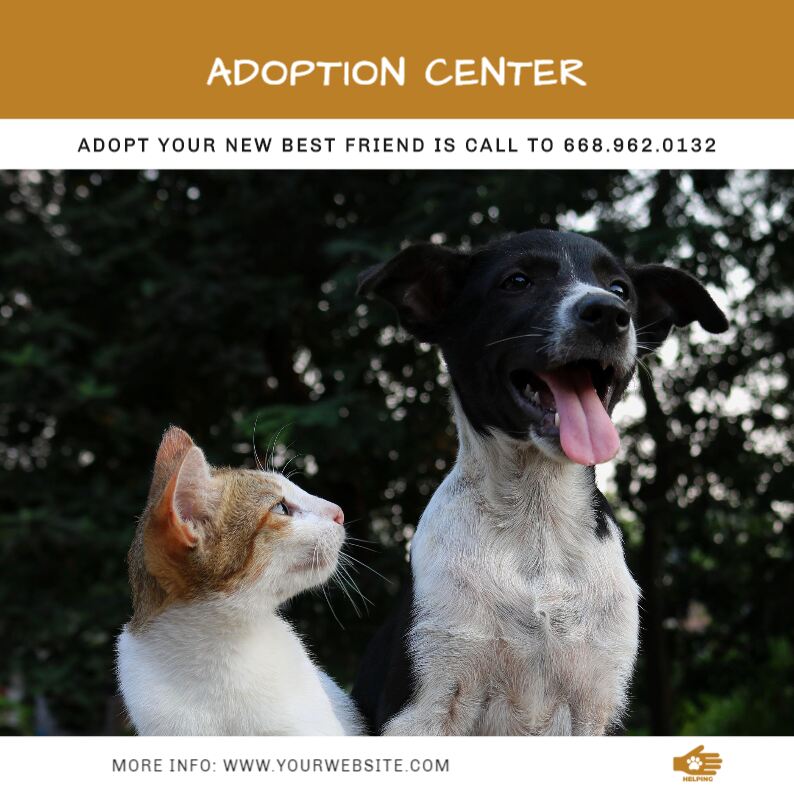 Free banners design for NGOs