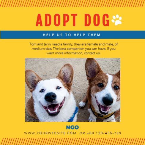 Free banners design for NGOs