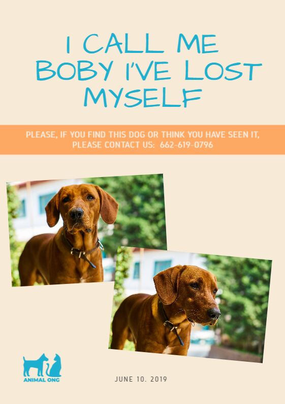 How to design posters for your missing pets