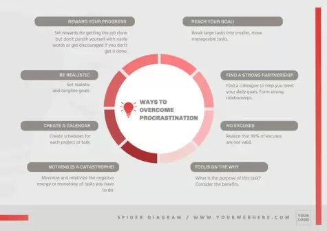 Create a Spider Diagram Online and Free