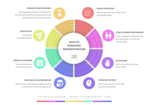 Create a Spider Diagram Online and Free