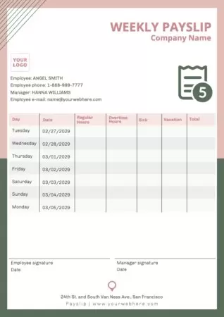 Free Pay Stub Templates to Edit