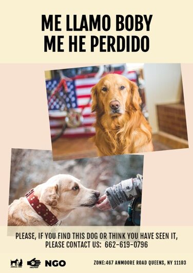 Carteles para buscar a tu mascota para editar online