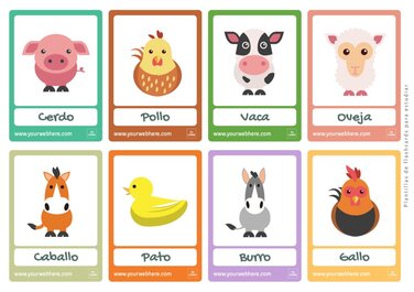 Plantillas de Tarjetas Didácticas para estudiar