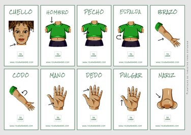 Plantillas de Tarjetas Didácticas para estudiar