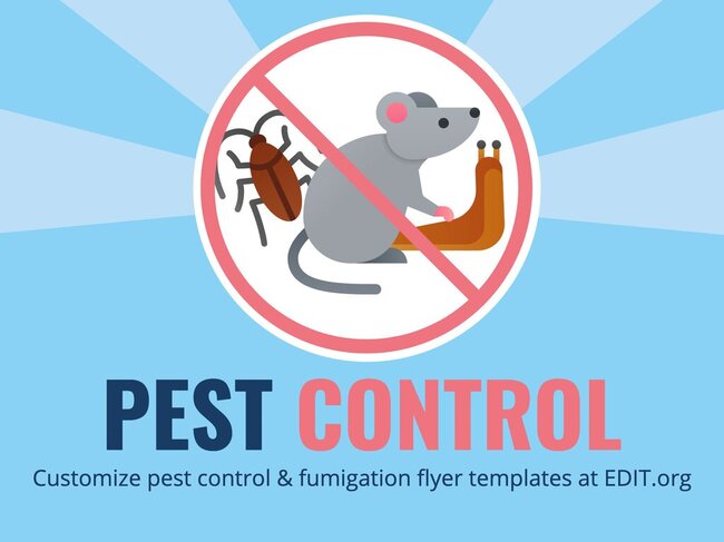 Design a Pest Control flyer for your company