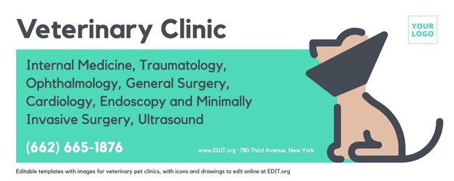 Templates for Veterinarians to Edit Online