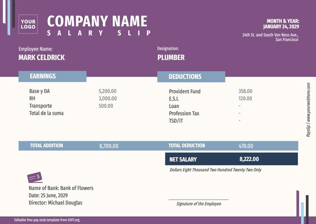 Free Pay Stub Templates to Edit