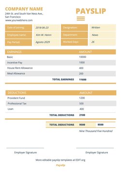 Free Pay Stub Templates to Edit
