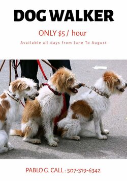 Modelli per dog sitter da realizzare online