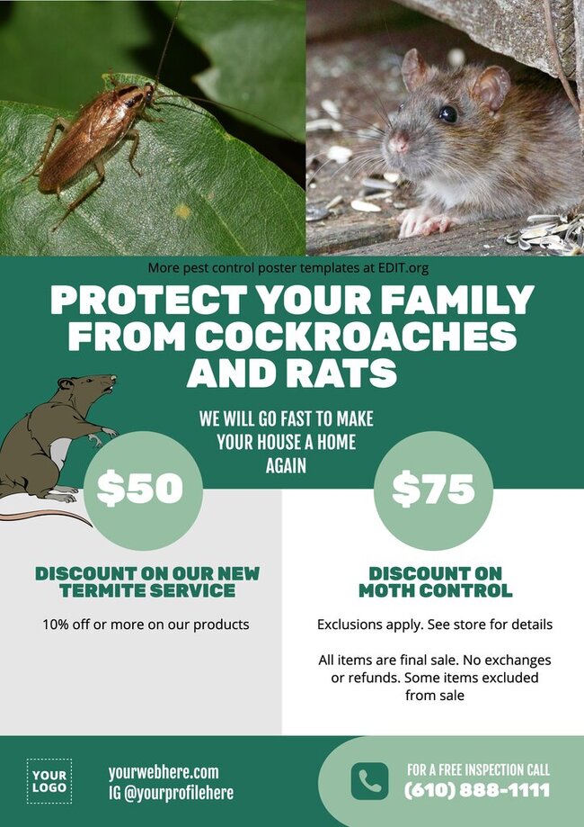 Design a Pest Control flyer for your company