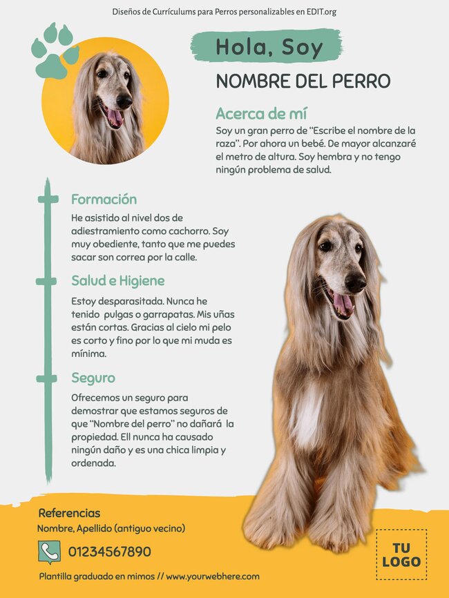 Plantillas de Currículums para Perros o Gatos