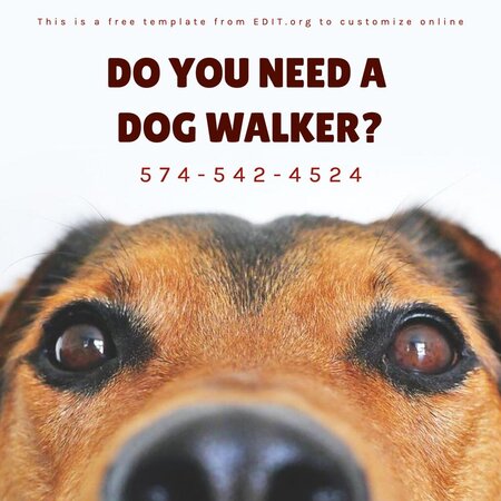Dog walkers templates to make online