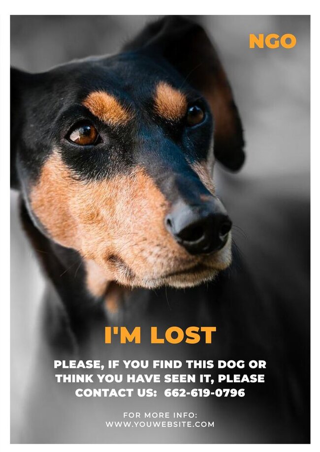 Design Free Missing Pet Posters Online
