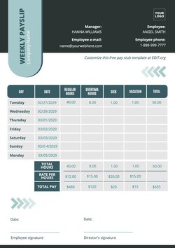 Free Pay Stub Templates to Edit