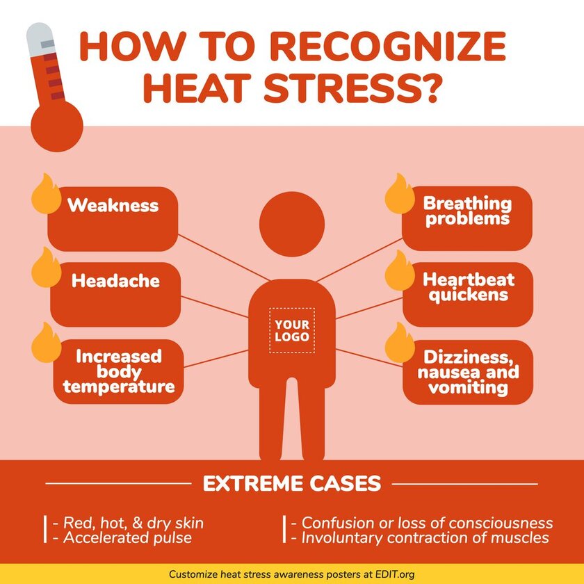 Safety Posters Heat Stress Ubicaciondepersonas cdmx gob mx